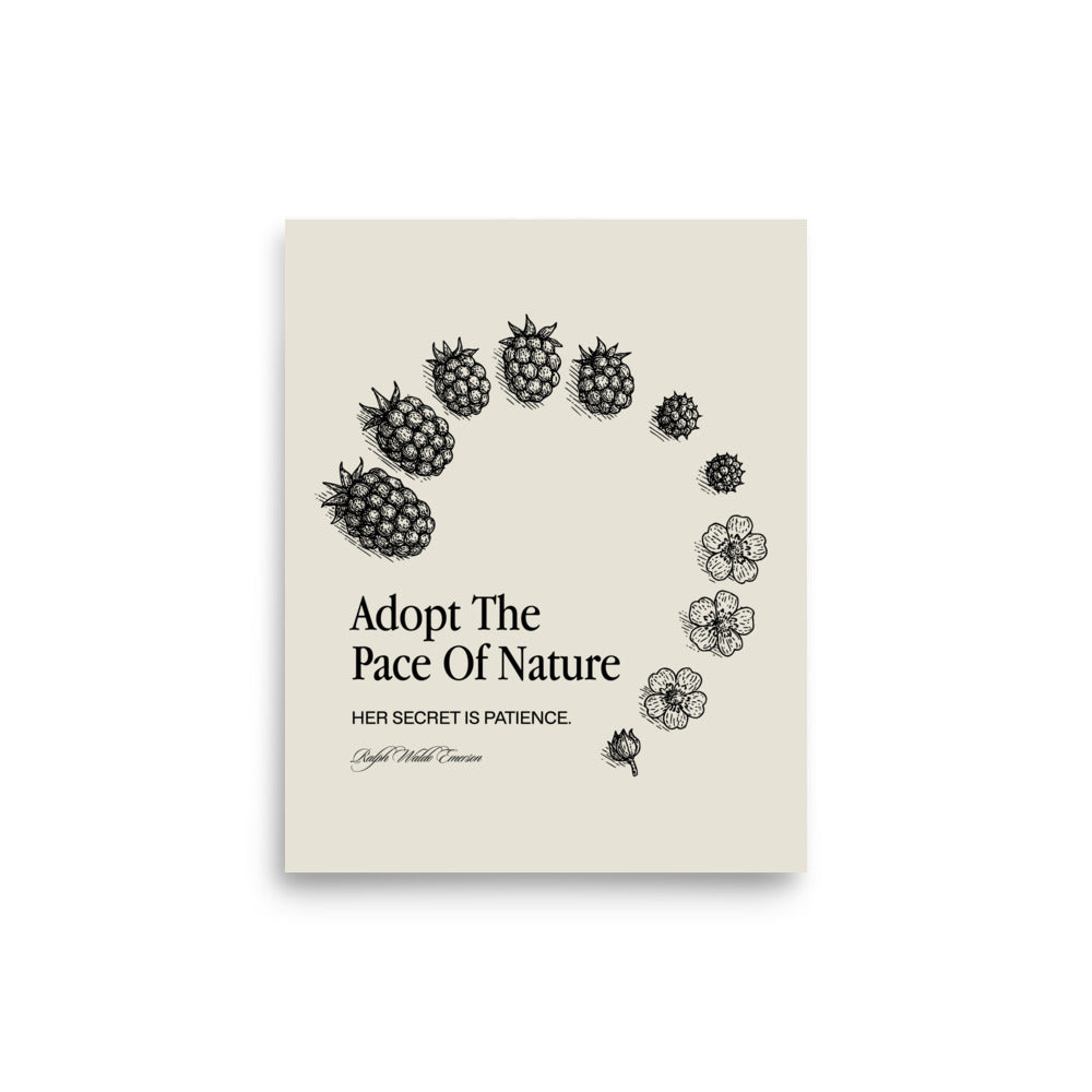 Pace of Nature Poster – Drex